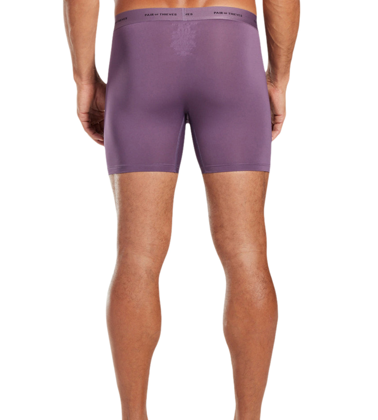 Quick Dry Action Blend Boxer Briefs Purple Underwear 3 Pack – Pair of ...